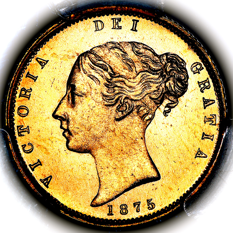 1875 Queen Victoria Half Sovereign - Jon Blyth