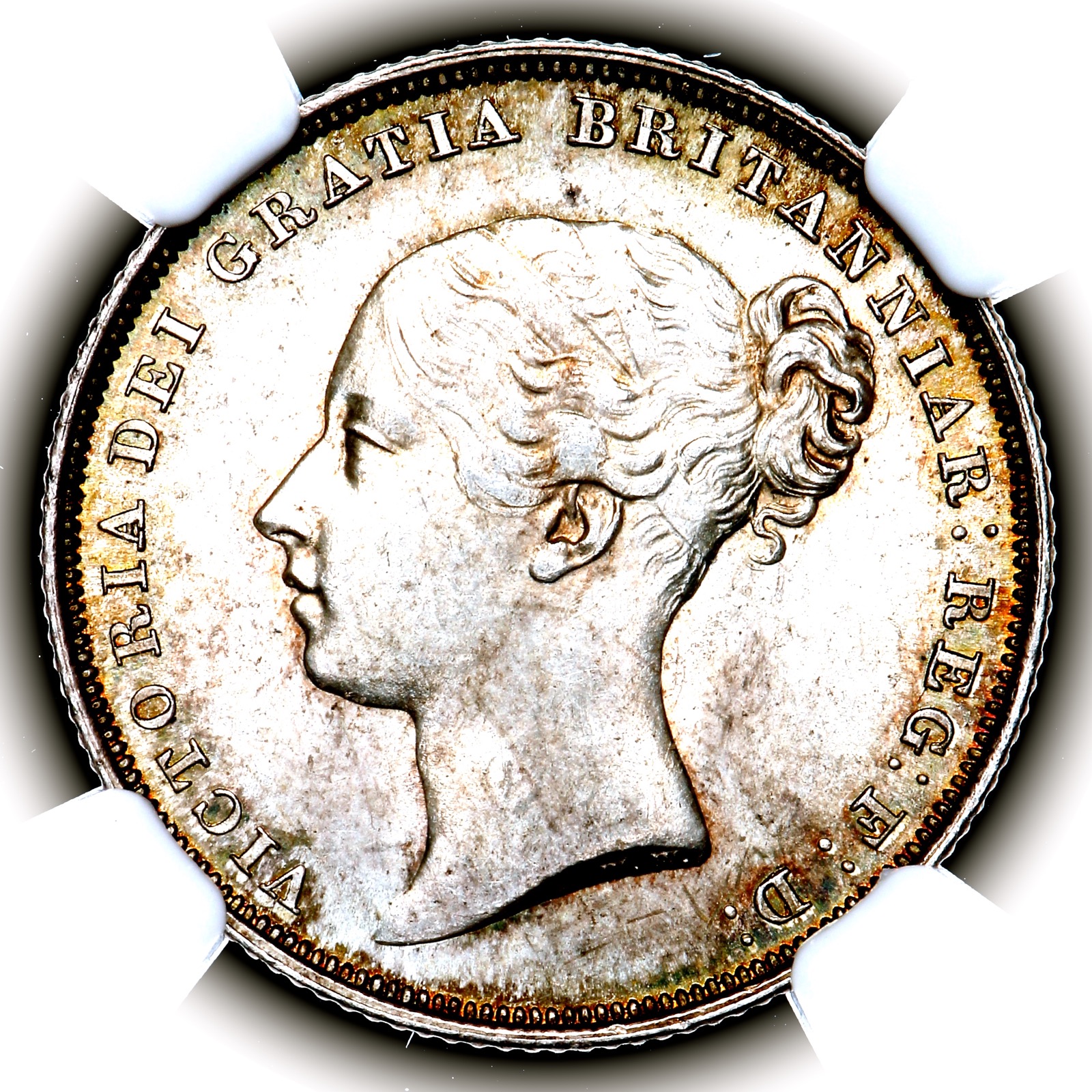 1839 Victoria Shilling - Jon Blyth